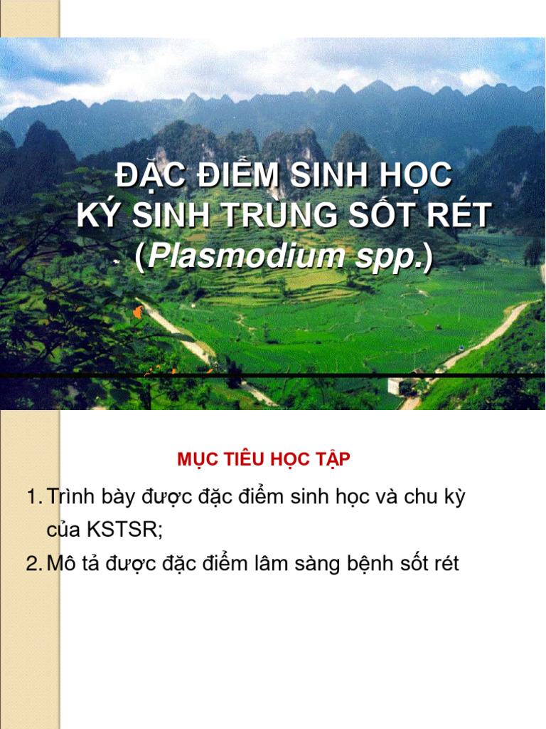 Plasmodium spp gây bệnh sốt rét | PDF