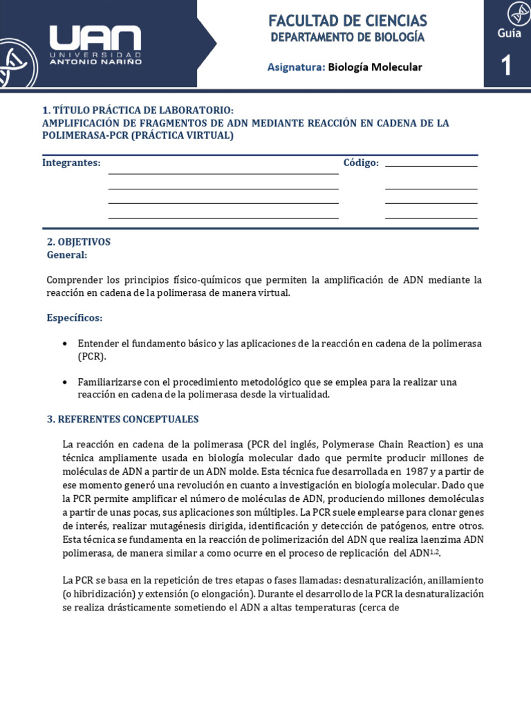 3a PCR | PDF | Reacción en cadena de la polimerasa | Primer (Biología ...