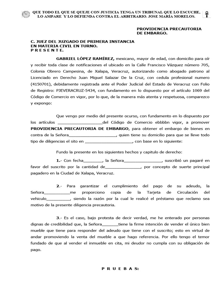 Embargo Precautorio | PDF | Gobierno | Justicia