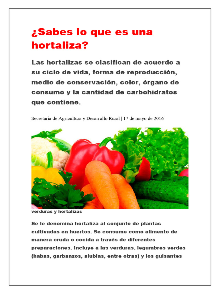 Sabes Lo Que Es Una Hortaliza | PDF