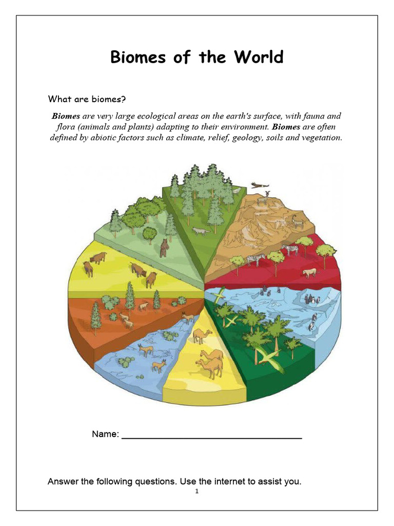 Biomes - Work Booklet | PDF | Forests | Plants
