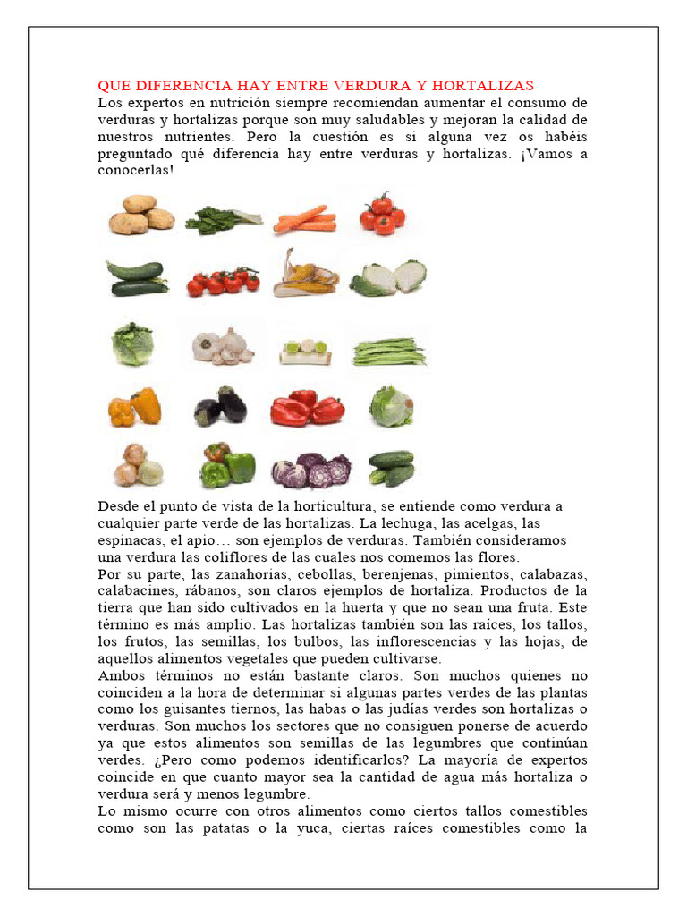 Que Diferencia Hay Entre Verdura Y Hortalizas Pdf Vegetales Plantas Comestibles