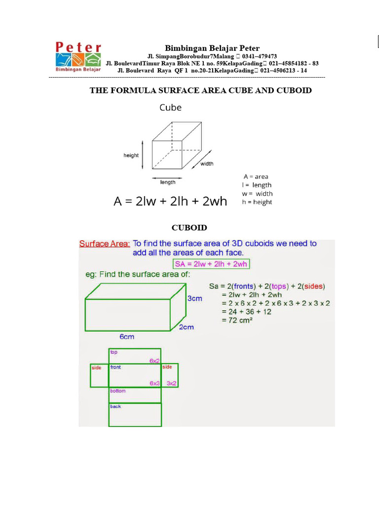 Surface Area Cube and Cuboid | PDF
