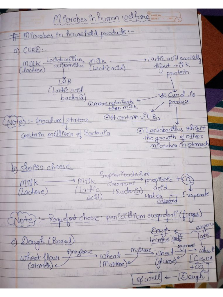 Microbes in Human Welfare Best Neet Notes | PDF