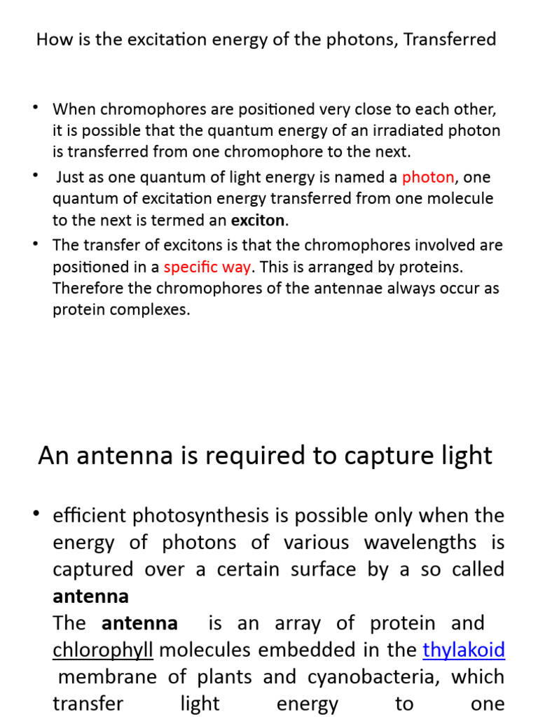 Mechanism of Photosynthesis | PDF | Photosynthesis | Chlorophyll