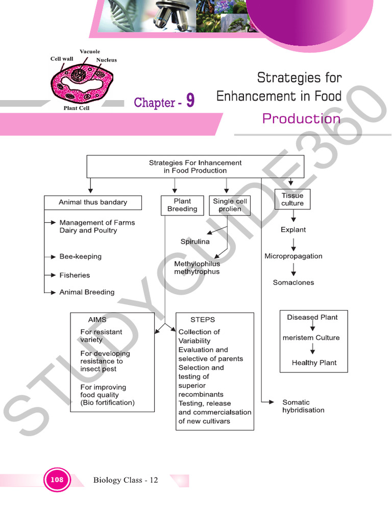 Class 12 Biology Notes Chapter 9 Studyguide360 | PDF