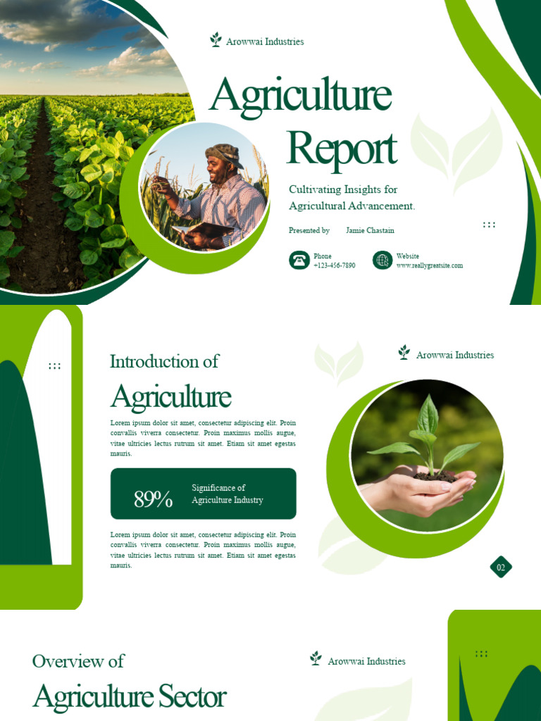 Arowwai Industries Agriculture Report | PDF | Natural Environment ...