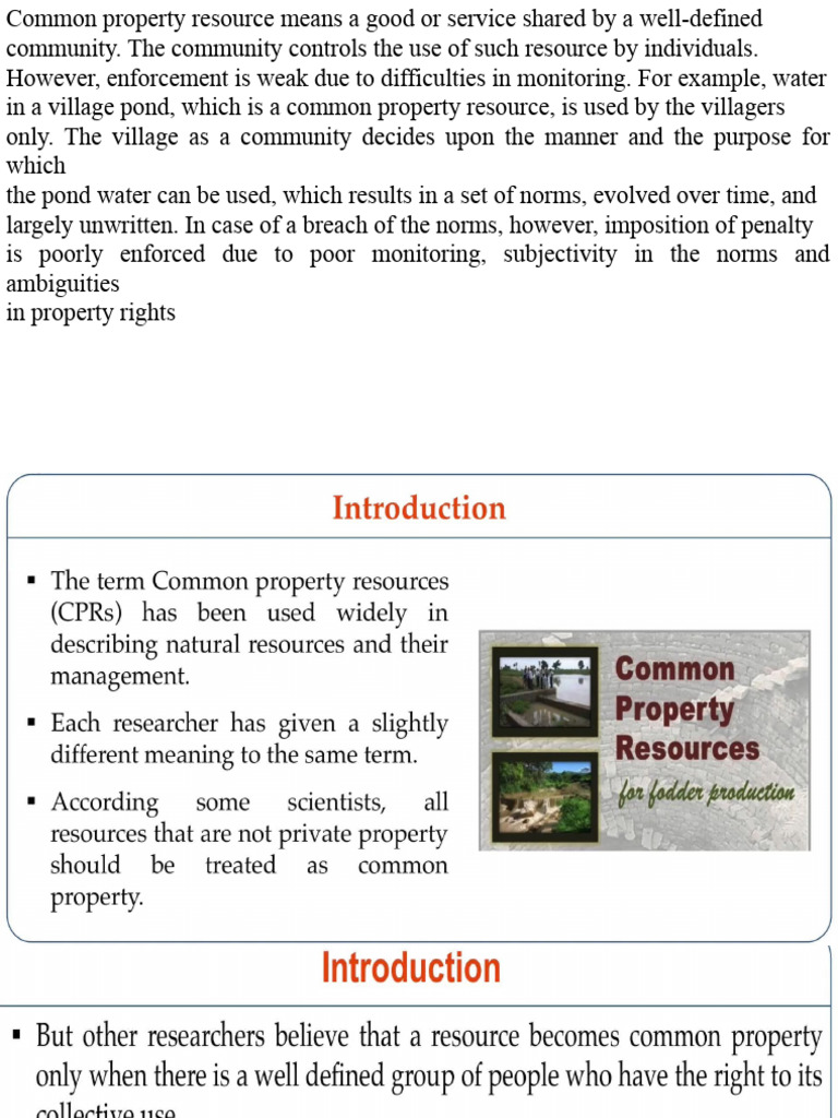 Common Property Resources in Rural Development | PDF