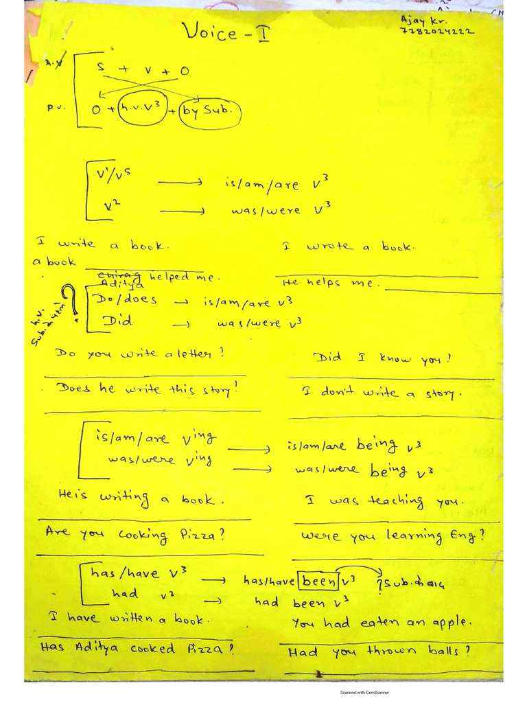 Voice & Ind - Speech X | PDF