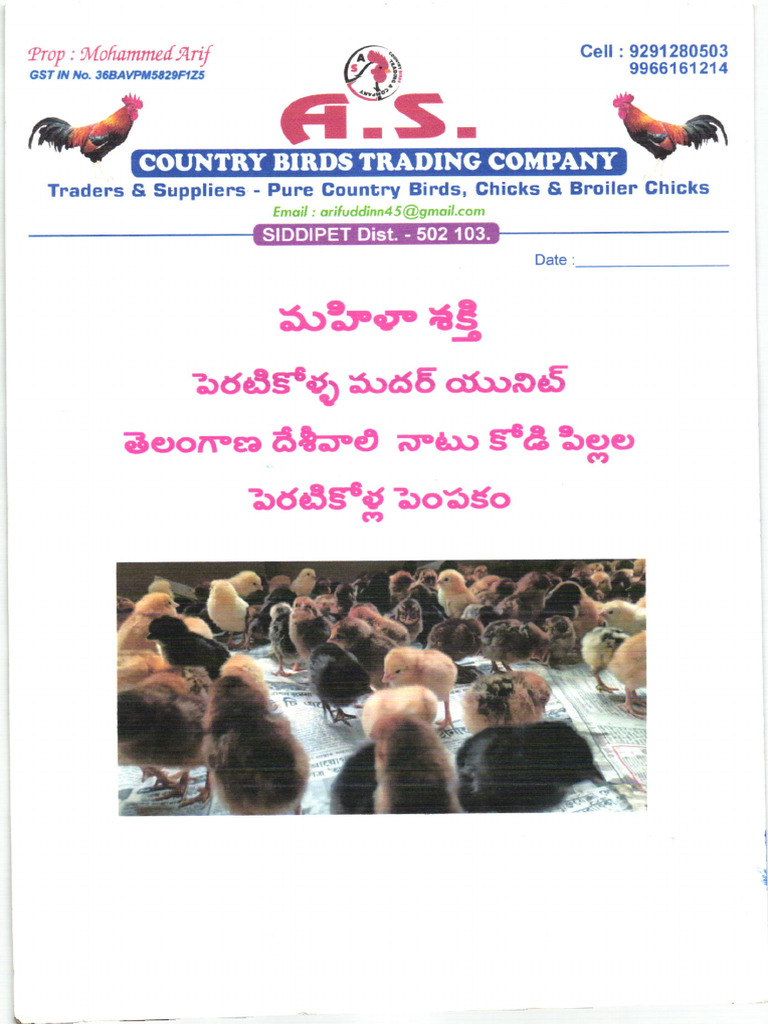 Back Yard Poultry | PDF