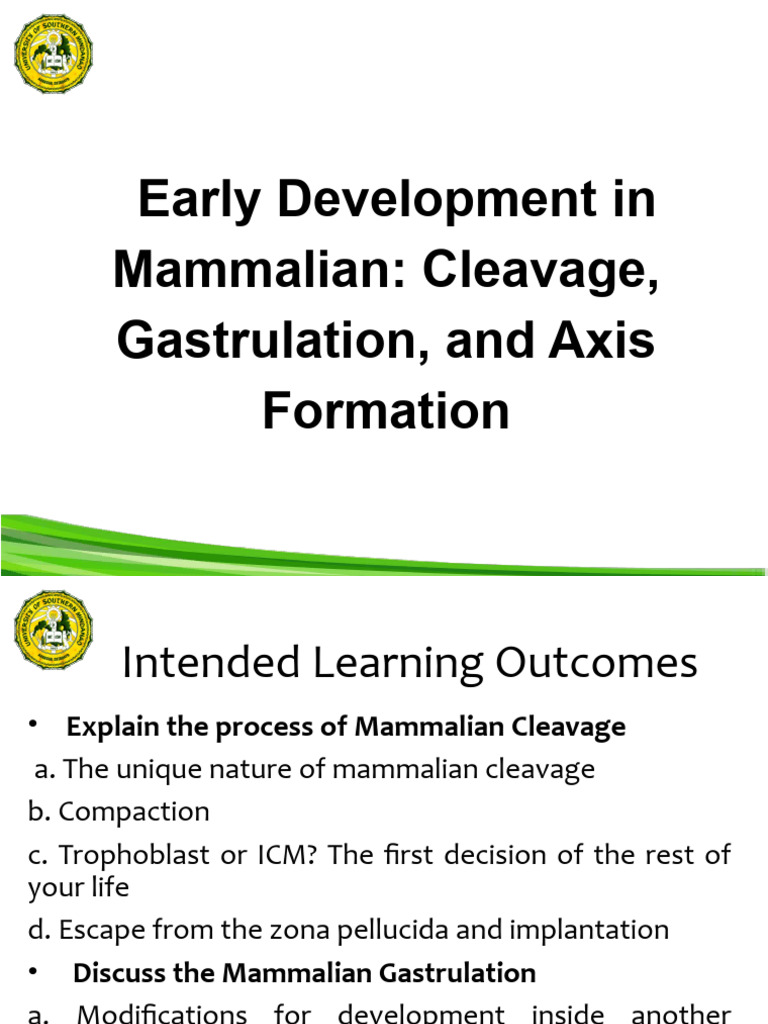 Early Development in Mammalian Cleavage Gastrulation and Axis Formation ...