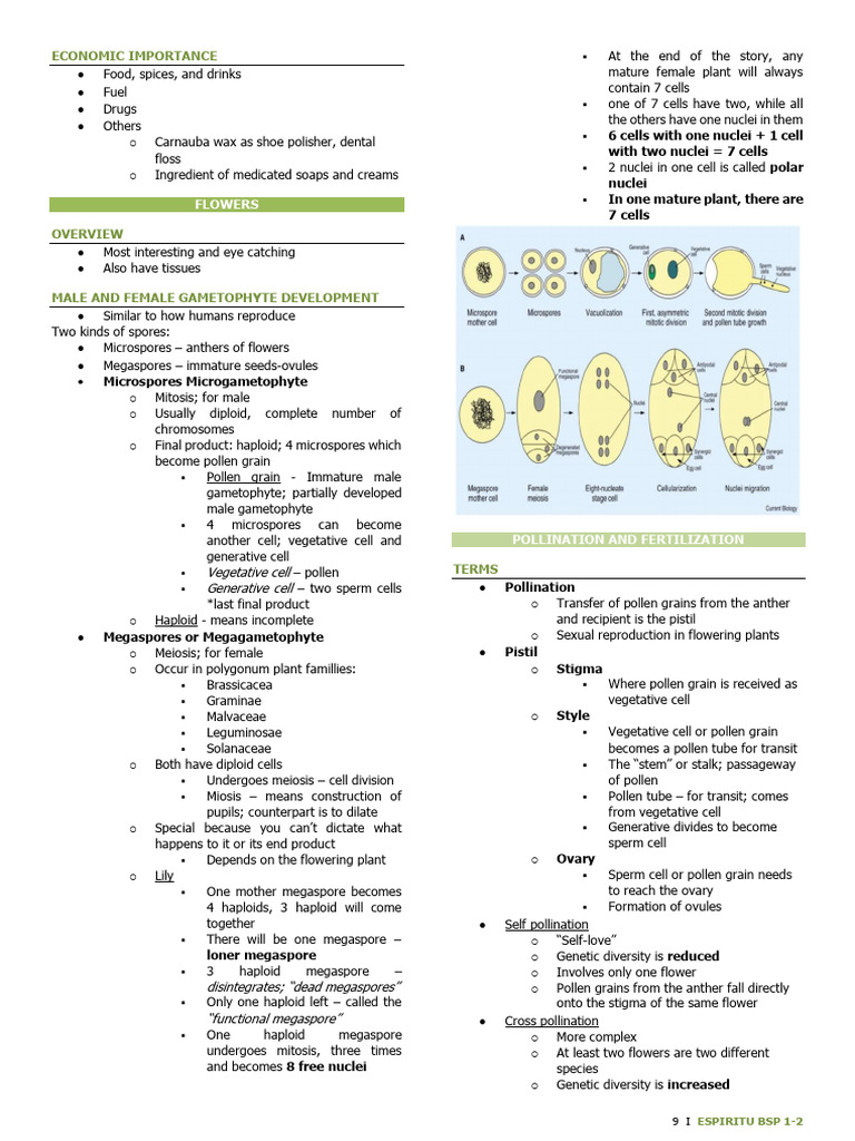 Pharmaceutical Botany With Taxonomy | PDF | Flowers | Pollination