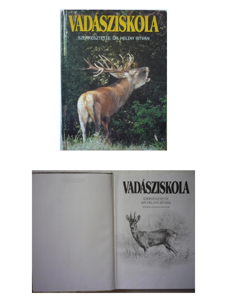 Idoc - Pub DR Heltay Istvan Vadasziskolapdf | PDF