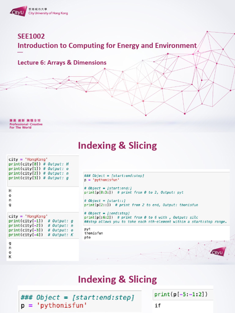 Lecture6 Arrays and Dimensions | PDF