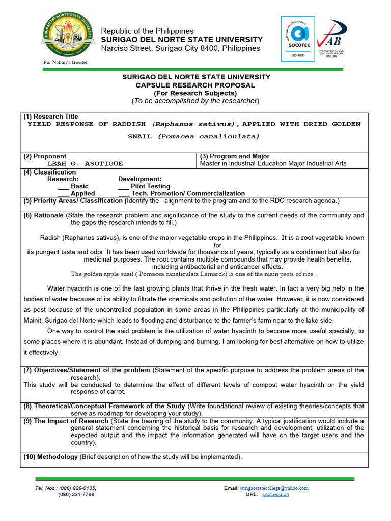 SNSU Grad School Capsule Proposal Template 5 1 1 | PDF