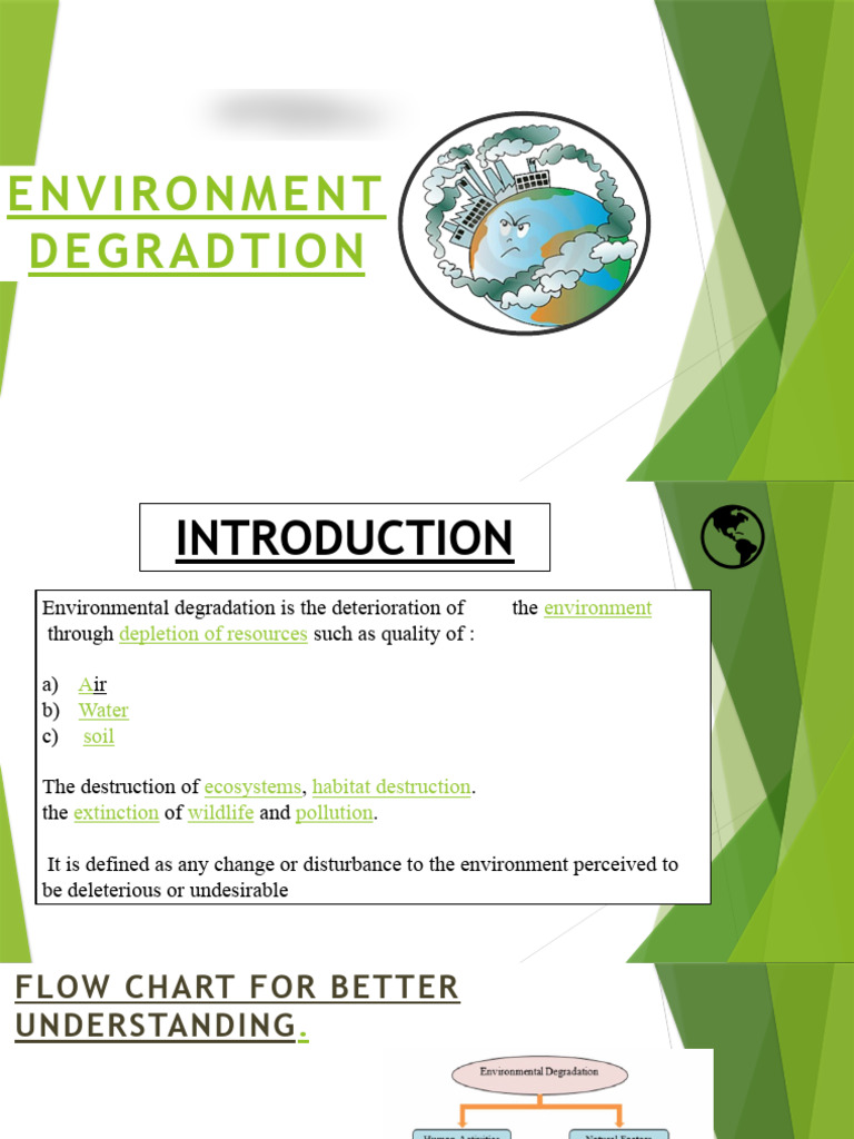 Environmental Degradation Causes & Solutions | PDF | Environmental ...