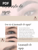 PROTOCOLO EVALUACIÓN FUERZA MUSCULAR - Escala Medical Research Council ...