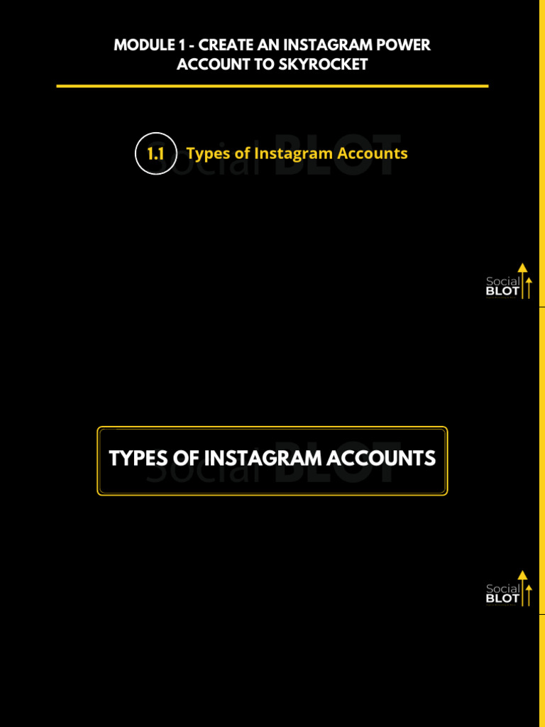 Module 1.1 Types of Instagram Accounts | PDF | Brand | Marketing