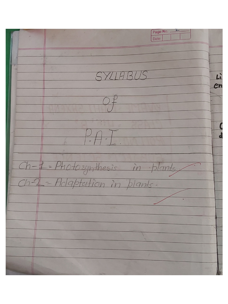 Notebook Work of Science 4th Class | PDF