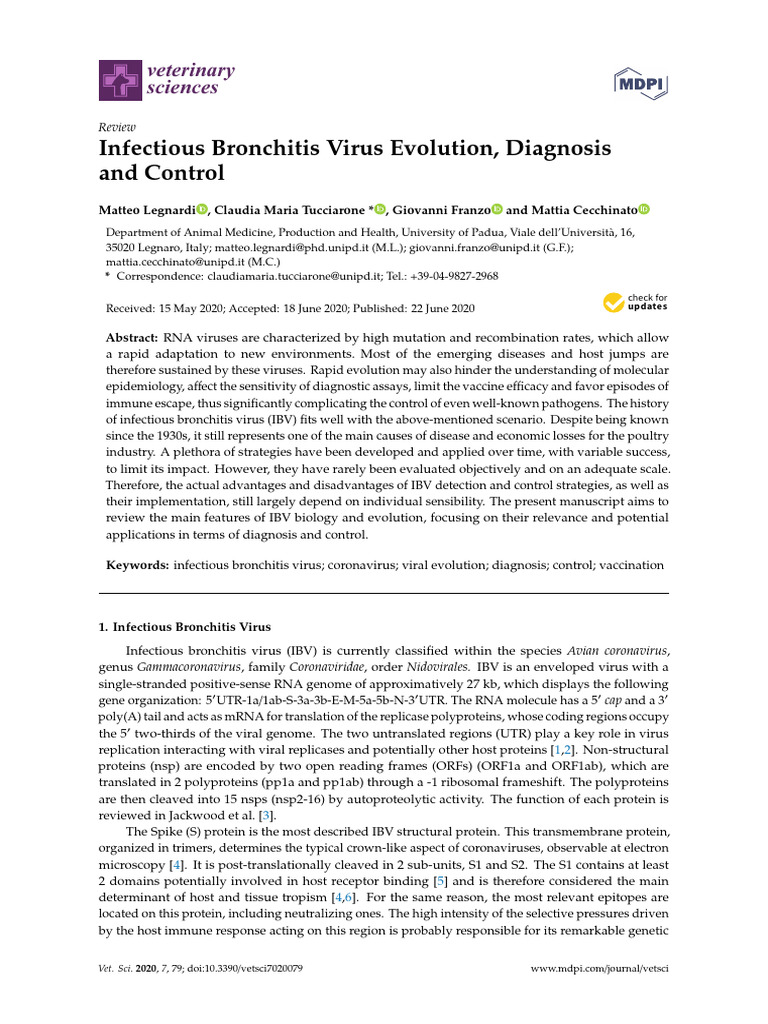 Q1 - 2020 - Legnardi Et - Al - IBV Evolution, Diagnosis, and Control ...