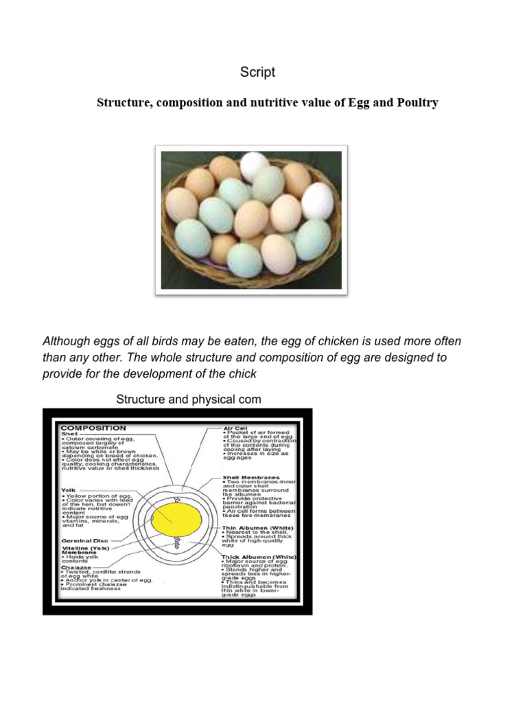 W7-L3 - Script - Structure, Composition and Nutritive Value of Egg and ...