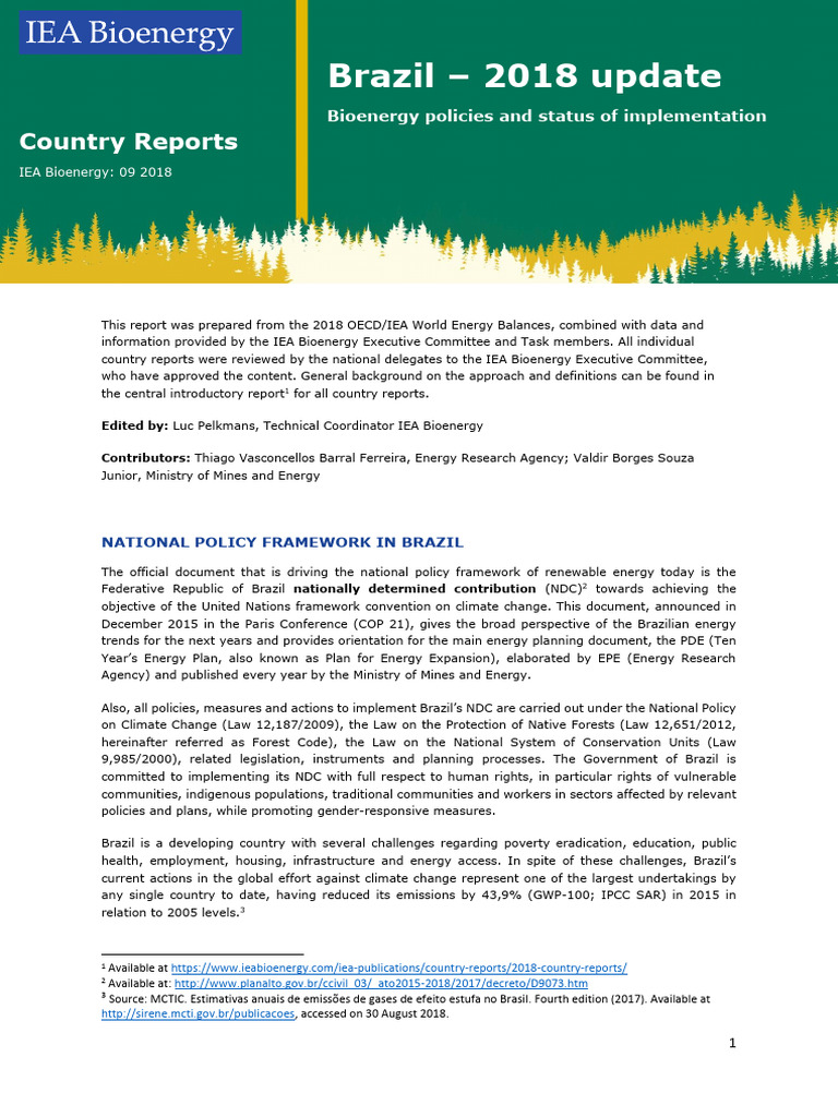 Iea Bioenergy Brazil | PDF | Renewable Energy | Biofuel