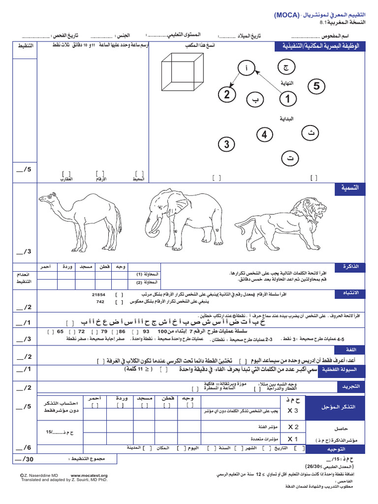Análisis de Datos y Resultados MOCA | PDF