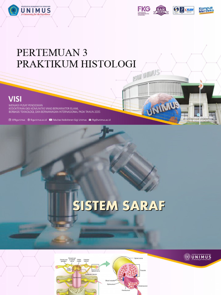 Praktikum Histologi 3 - Jaringan Saraf, Sistem Respirasi | PDF | Spinal Cord | Nerve
