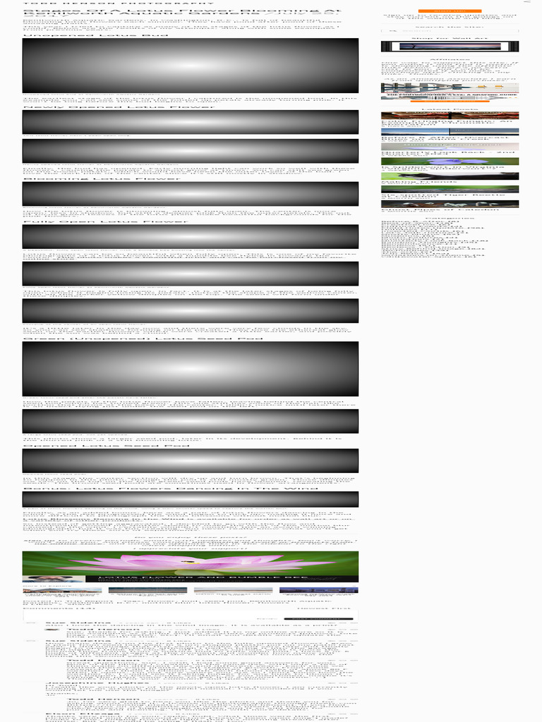 Stages of A Lotus Flower Blooming at Kenilworth Aquatic Gardens - Todd ...