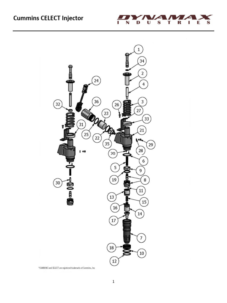 Celect Injector | PDF