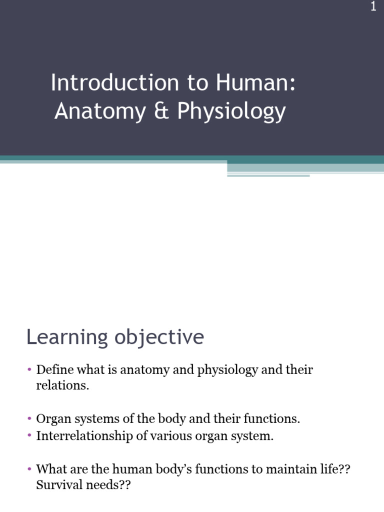 Introduction To Human Anatomy and Physiology | PDF | Homeostasis ...