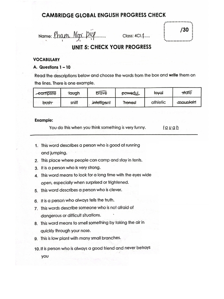 English Unit 5 | PDF