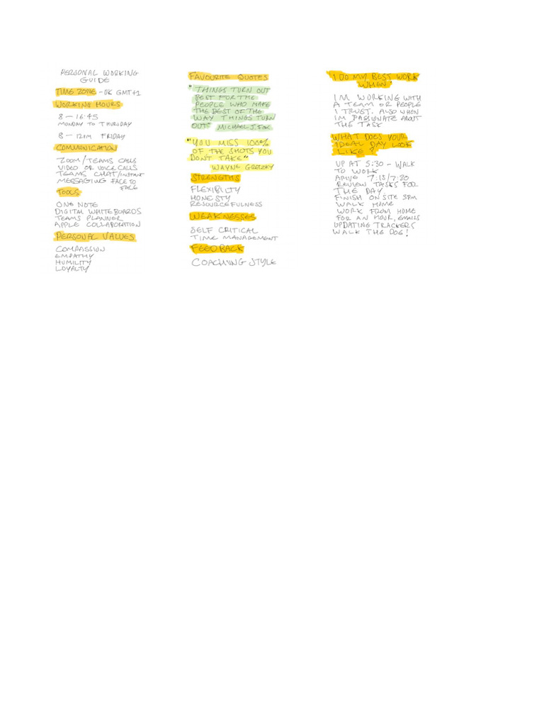 Personal Working Guide | PDF