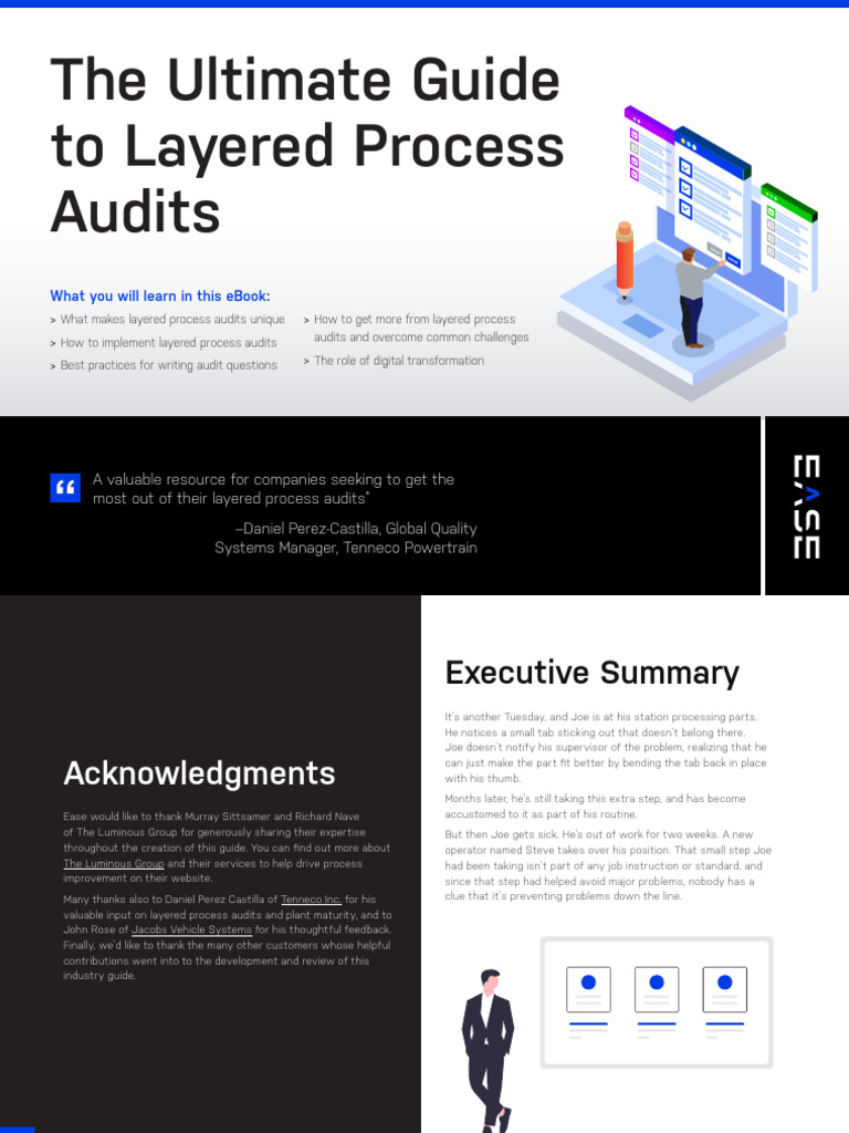 Ultimate Guide LPAs | PDF | Audit | Business