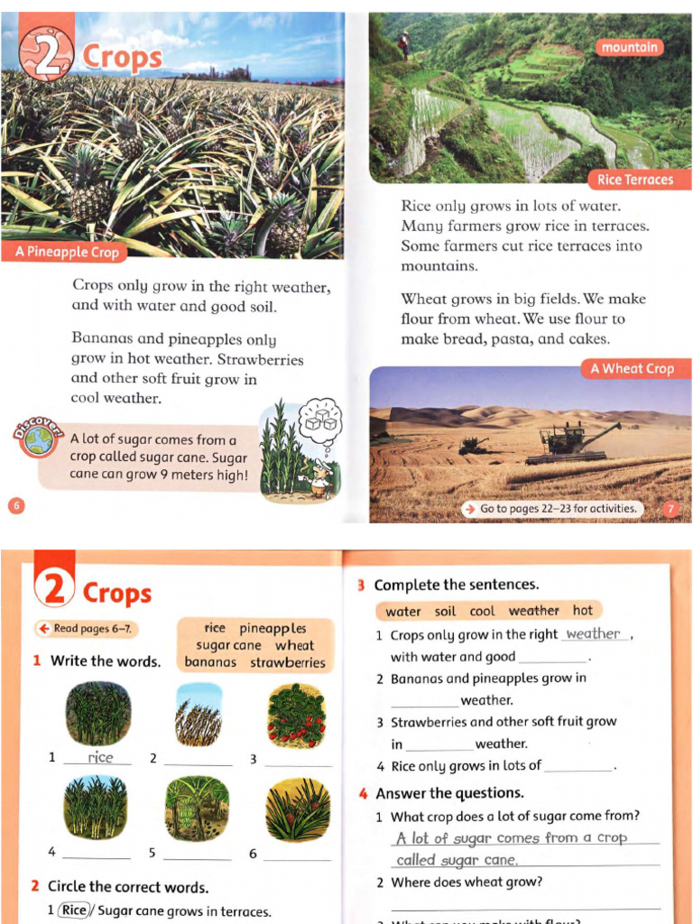 Crops | PDF