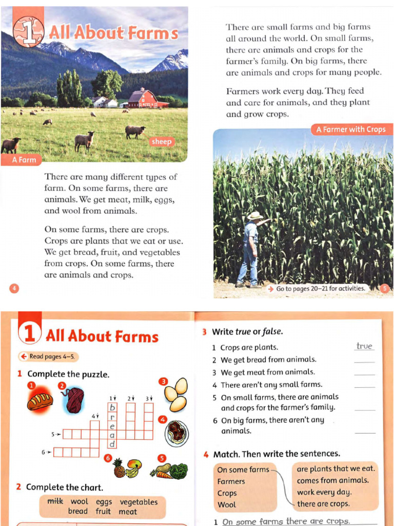 All About Farms | PDF