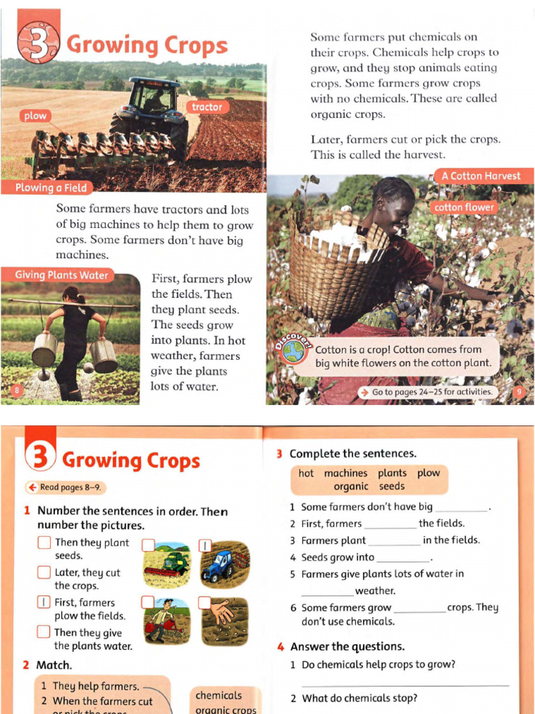Growing Crops | PDF