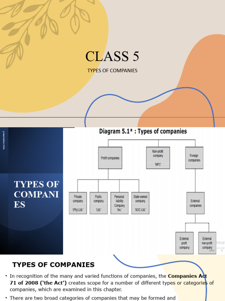 CLASS 5 Types of Companies | PDF | Privately Held Company | Companies