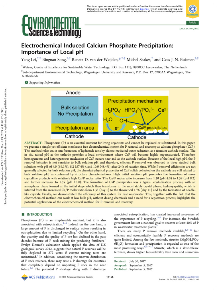 Electrochemical Induced Calcium Phosphate Precipitation Importance of ...