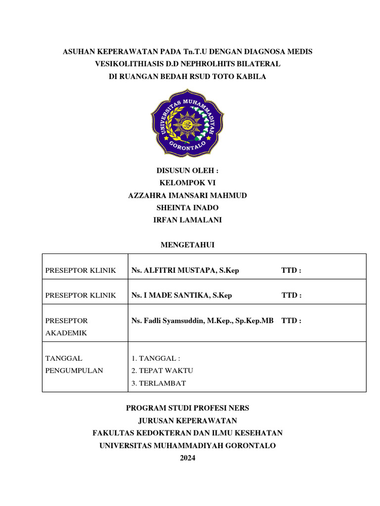 Asuhan Keperawatan Vesikolithiasis | PDF | Kesehatan Holistik