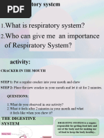 Digestive and Respiratory System Overview | PDF | Human Digestive ...