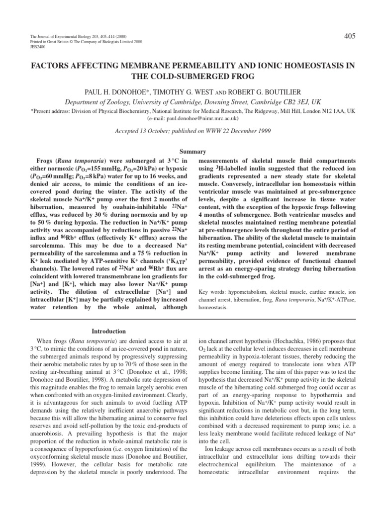 Factors Affecting Membrane Permeability and Ionic Homeostasis in The ...