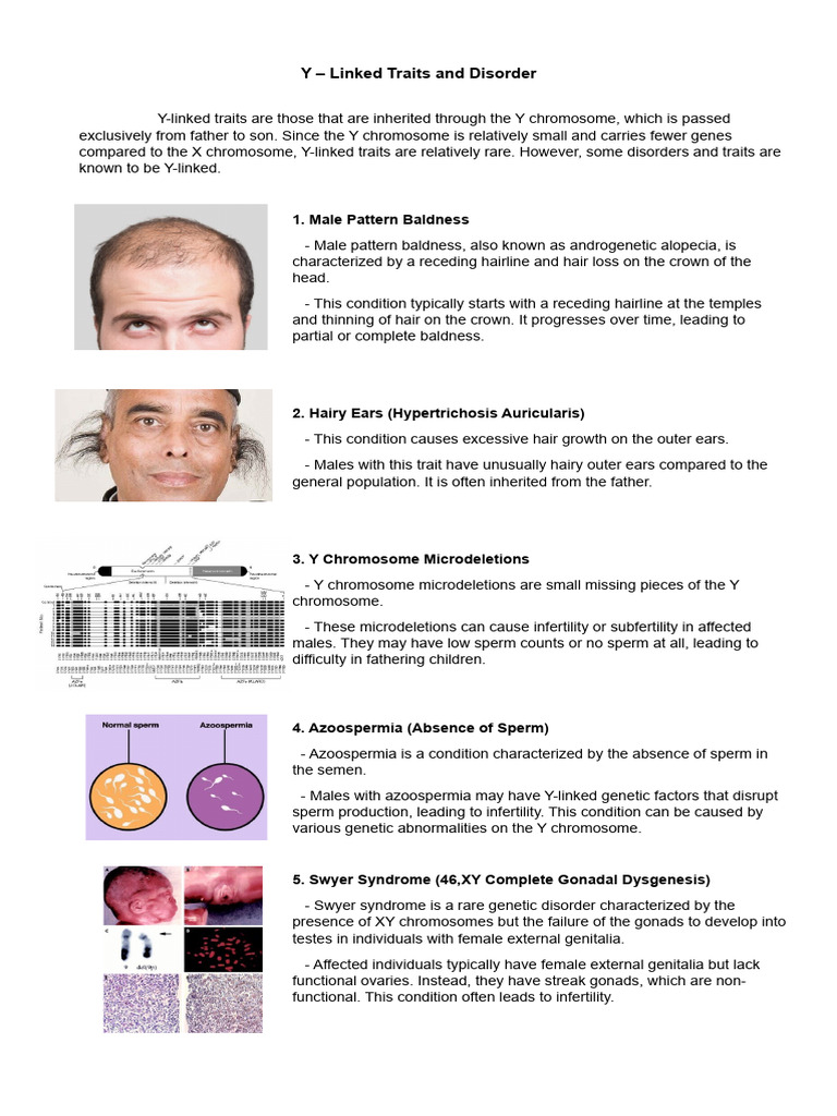 Y and X Linked Traits and Disorder | PDF | Genetic Disorder | Hair Loss
