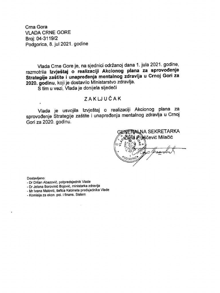 Izvjestaj o Realizaciji Akcionog Plana Za Sprovodenje Strategije ...