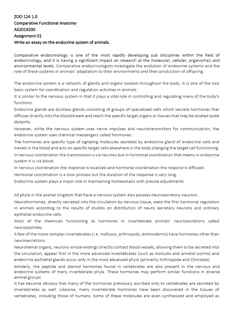 Endocrine System of Animal | PDF | Endocrine System | Hormone