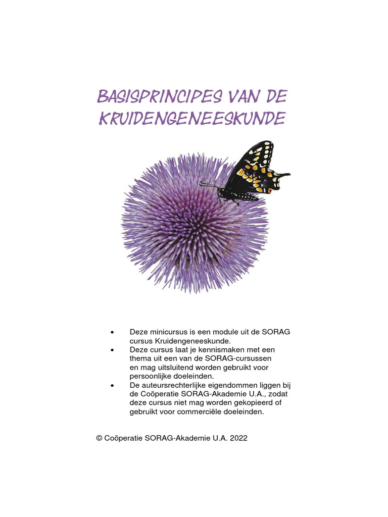 Basisprincipes Van de Kruidengeneeskunde | PDF