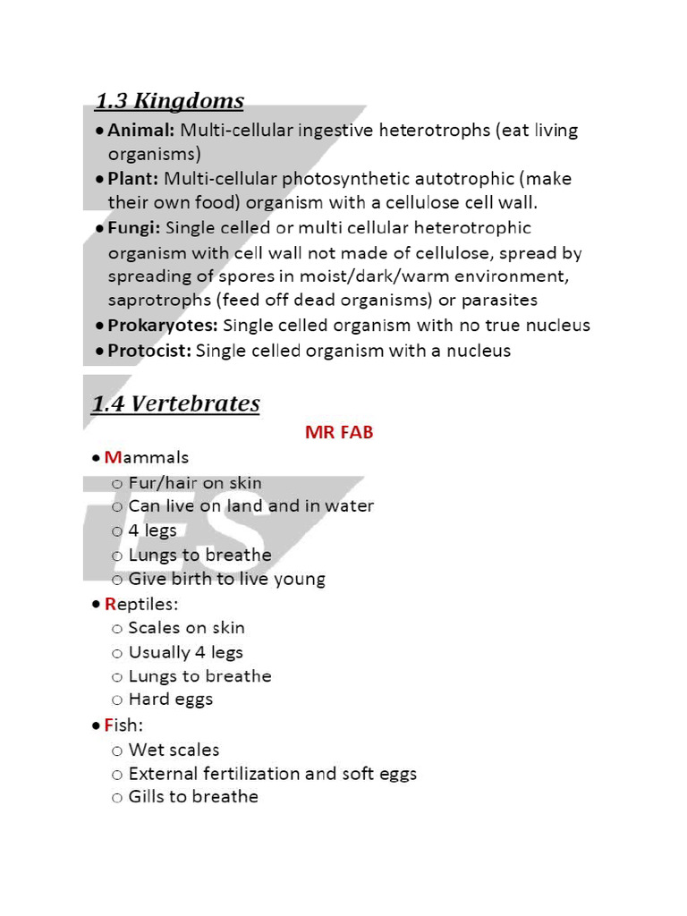 Chapter 1 Z Notes IGCSE | PDF