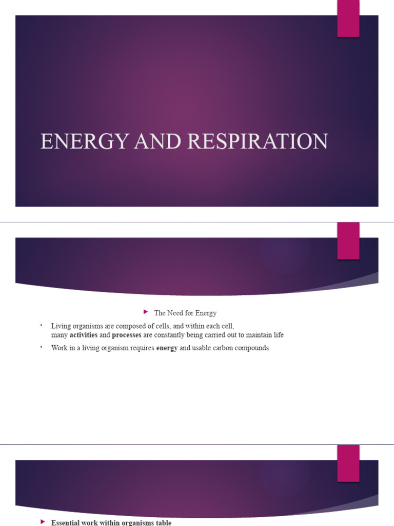 Energy and Respiration - A Level | PDF | Adenosine Triphosphate ...