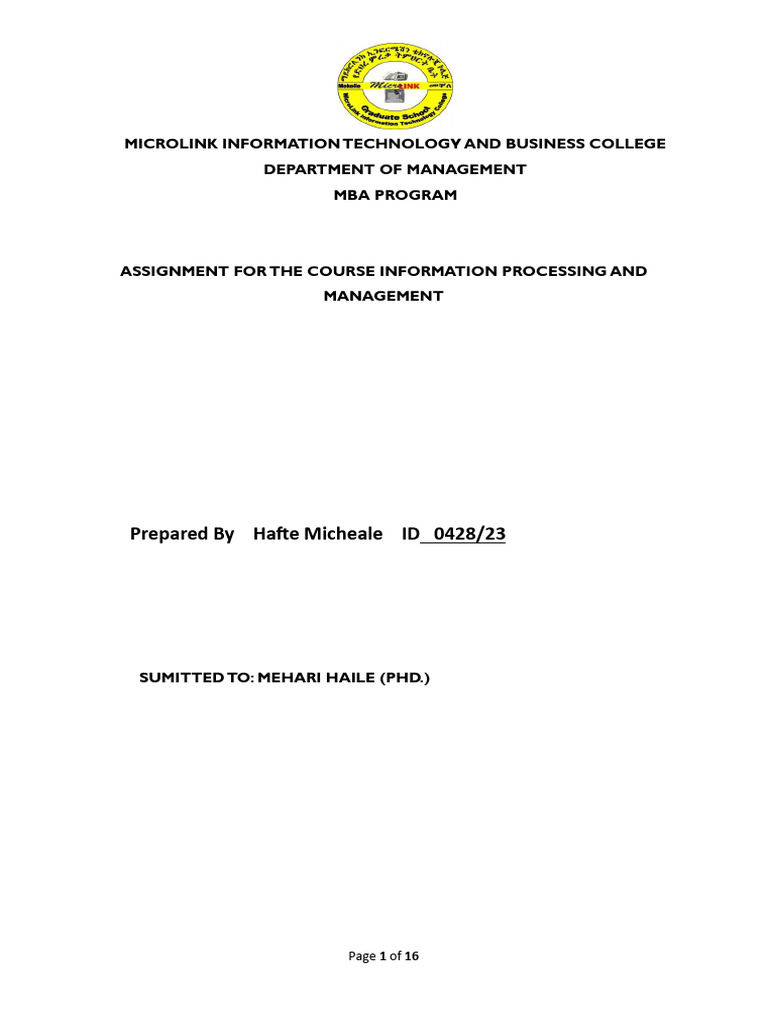 IPM Individual Assignment1 | PDF | Databases | Enterprise Resource Planning