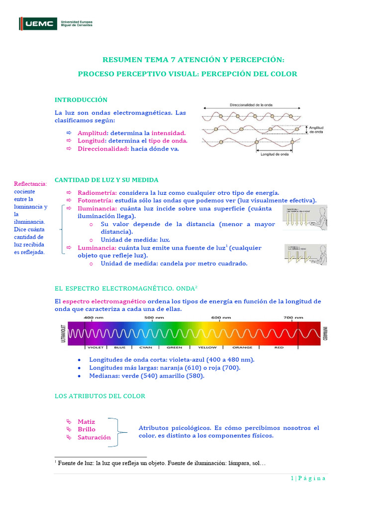 Resumen Tema 7 Atención y Percepción | PDF | Color | Ligero